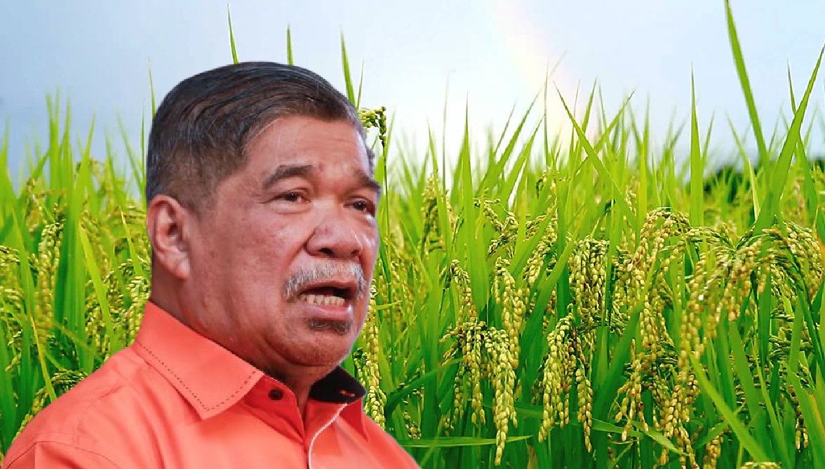 Isu Padi, Beras: Mat Sabu Jumpa Anwar Minggu Pertama Parlimen | The ...